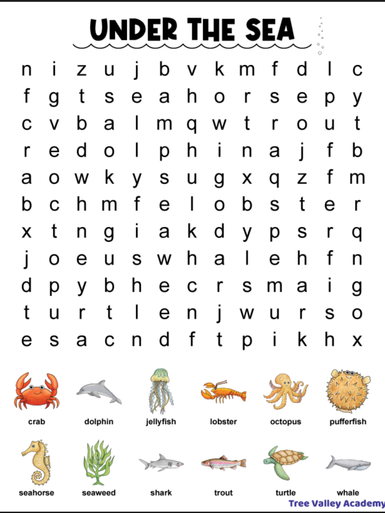 Ocean Archives - Tree Valley Academy