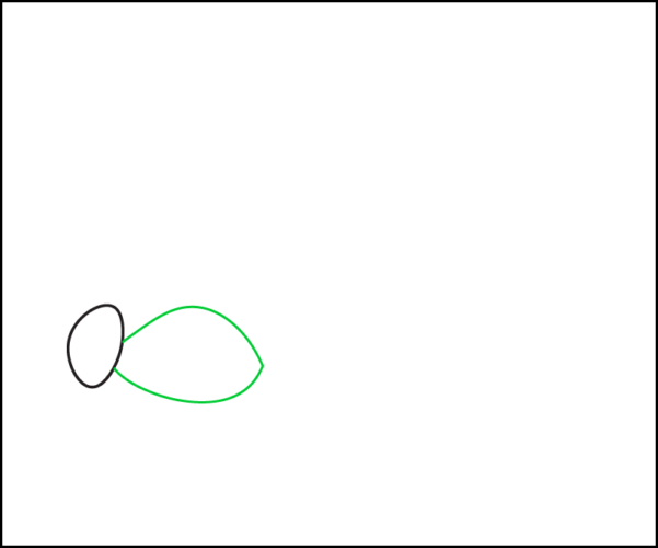 How to Draw a Dragonfly - Tree Valley Academy