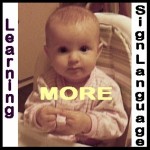 Sign Language Archives - Tree Valley Academy