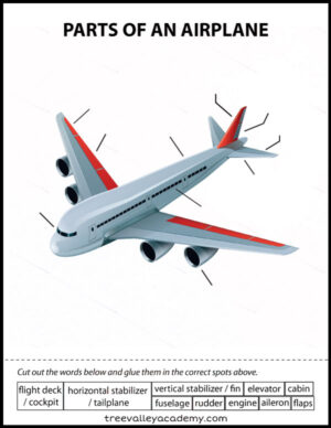 Learning about Flight with Paper Airplanes - Tree Valley Academy