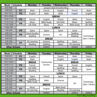 Our Grade 2 Schedule - Tree Valley Academy