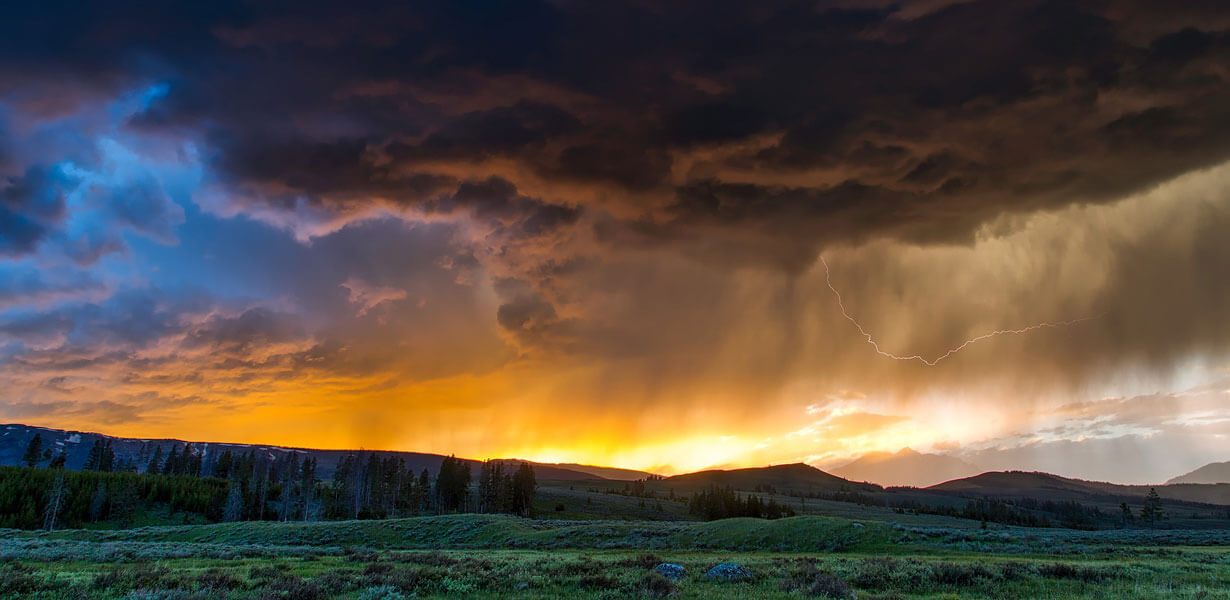 Weather Unit Study for Homeschoolers - Tree Valley Academy