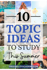 How to Create a Summer Themed Unit Study - Tree Valley Academy