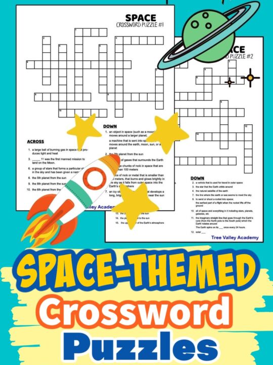 6th Grade Spelling Activities & Worksheets - Tree Valley Academy