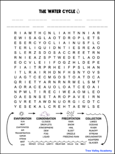 Water Cycle Word Search - Tree Valley Academy