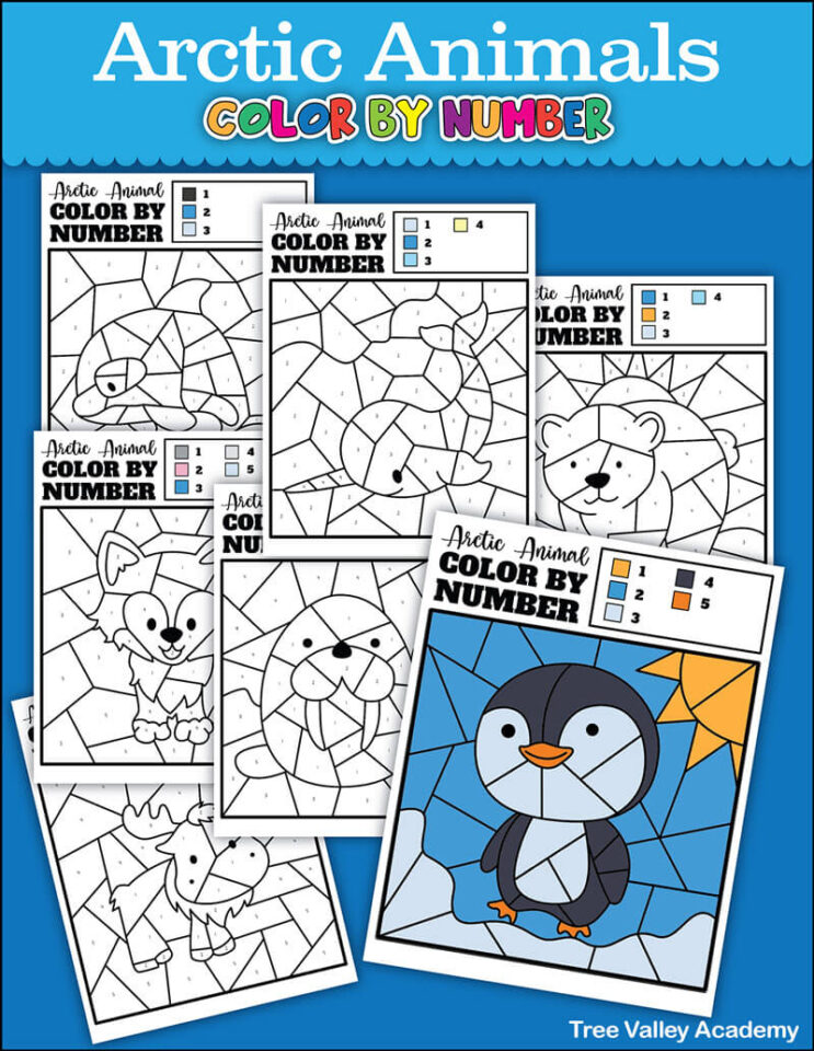 Arctic Animals Color by Number - Tree Valley Academy