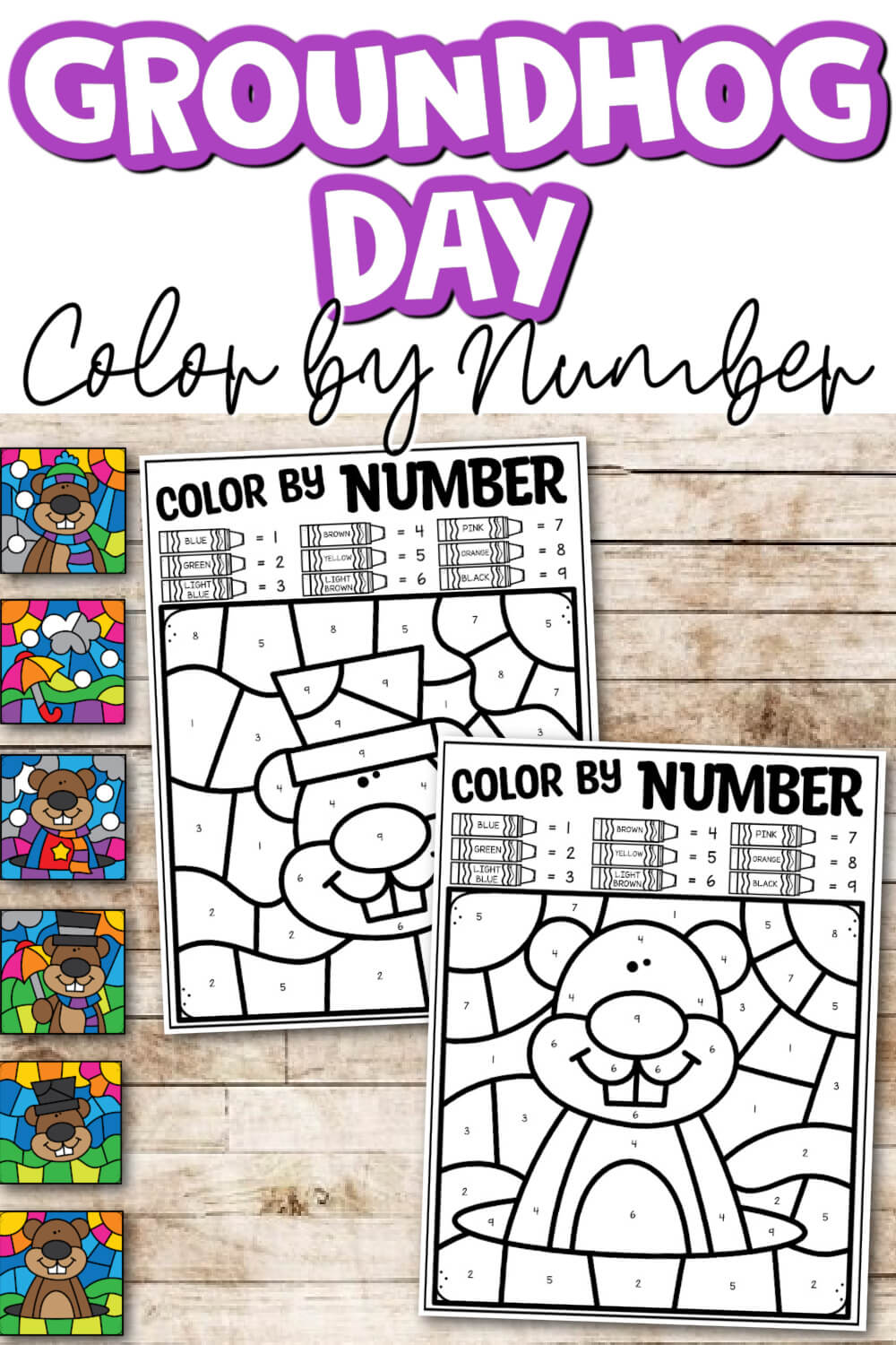 6 Groundhog Day Color by Number Coloring Pages for Kids