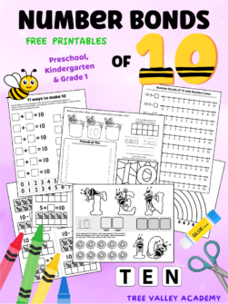 Math Archives - Tree Valley Academy