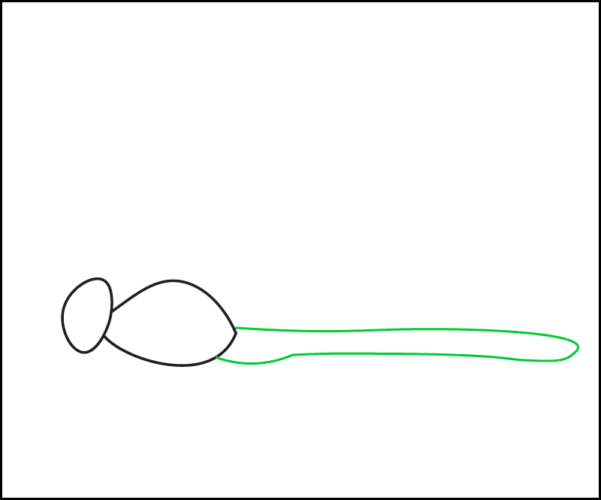 How to Draw a Dragonfly - Tree Valley Academy