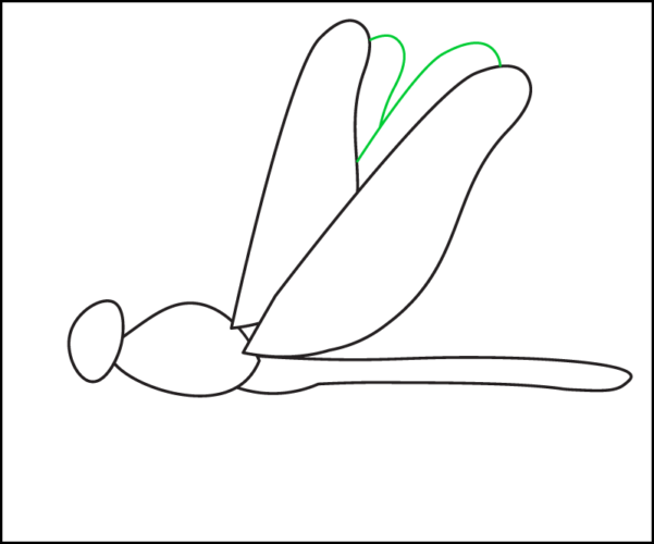 How to Draw a Dragonfly - Tree Valley Academy