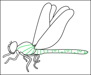How to Draw a Dragonfly - Tree Valley Academy