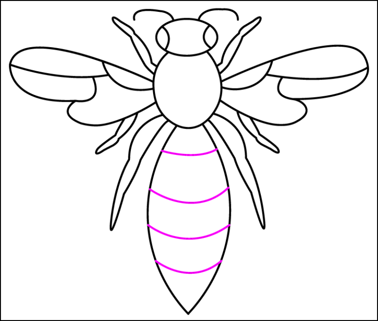 How to Draw A Wasp - Tree Valley Academy