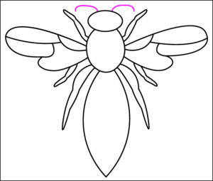 How to Draw A Wasp - Tree Valley Academy
