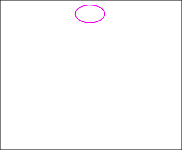 How to Draw A Wasp - Tree Valley Academy