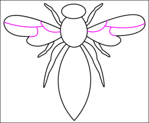 How to Draw A Wasp - Tree Valley Academy