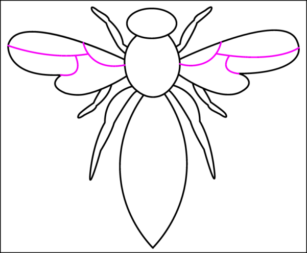 How to Draw A Wasp - Tree Valley Academy