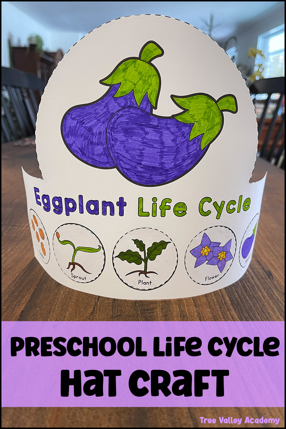 Plant Life Cycle Hats Craft for Kids - Tree Valley Academy