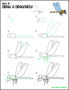 How to Draw a Dragonfly - Tree Valley Academy