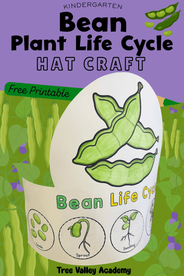 Plant Life Cycle Hats Craft for Kids - Tree Valley Academy
