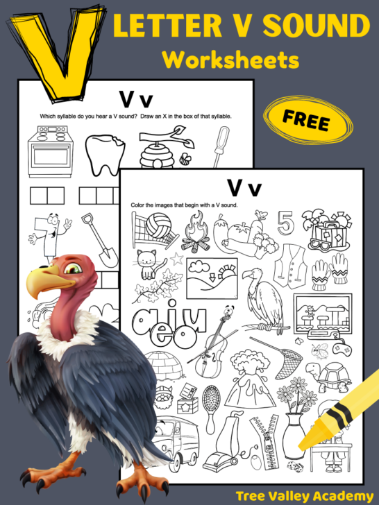 Alphabet For Kids - Tree Valley Academy