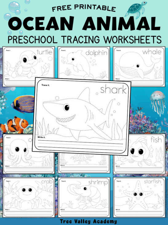 Ocean Animal Tracing Worksheets for Preschool