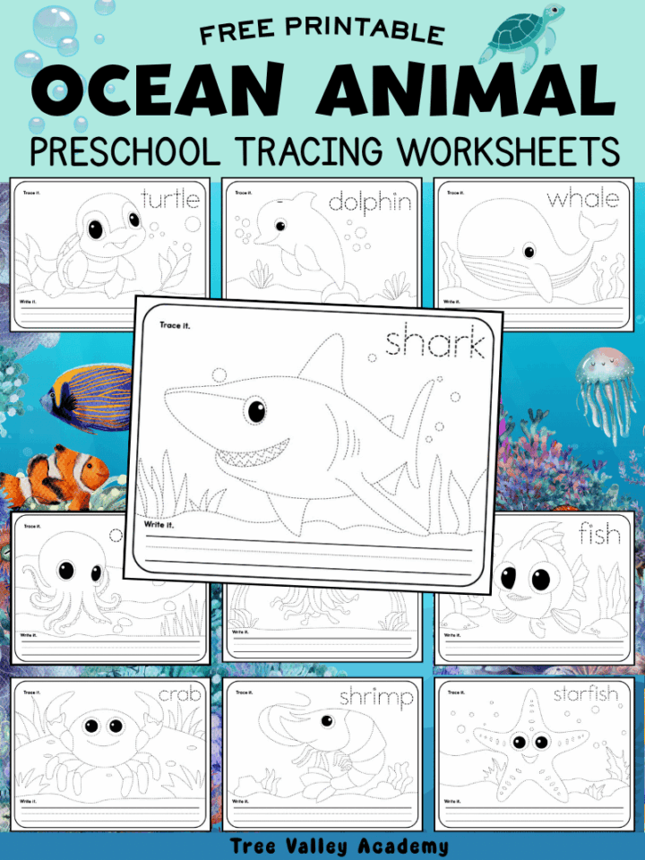 Ocean Animal Tracing Worksheets for Preschool