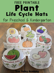 Plant Life Cycle Hats Craft for Kids - Tree Valley Academy