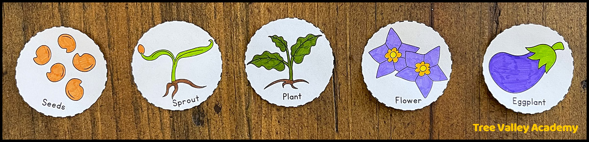 Plant Life Cycle Hats Craft for Kids - Tree Valley Academy