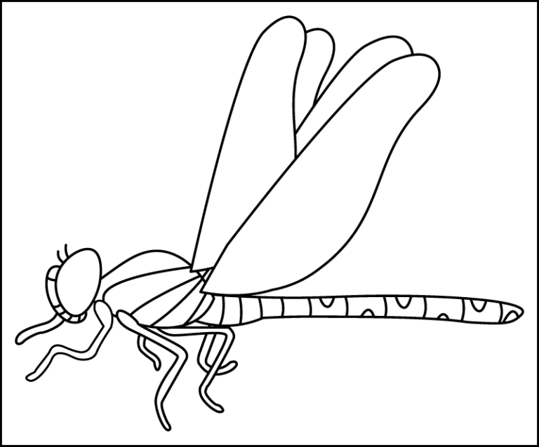 How to Draw a Dragonfly - Tree Valley Academy